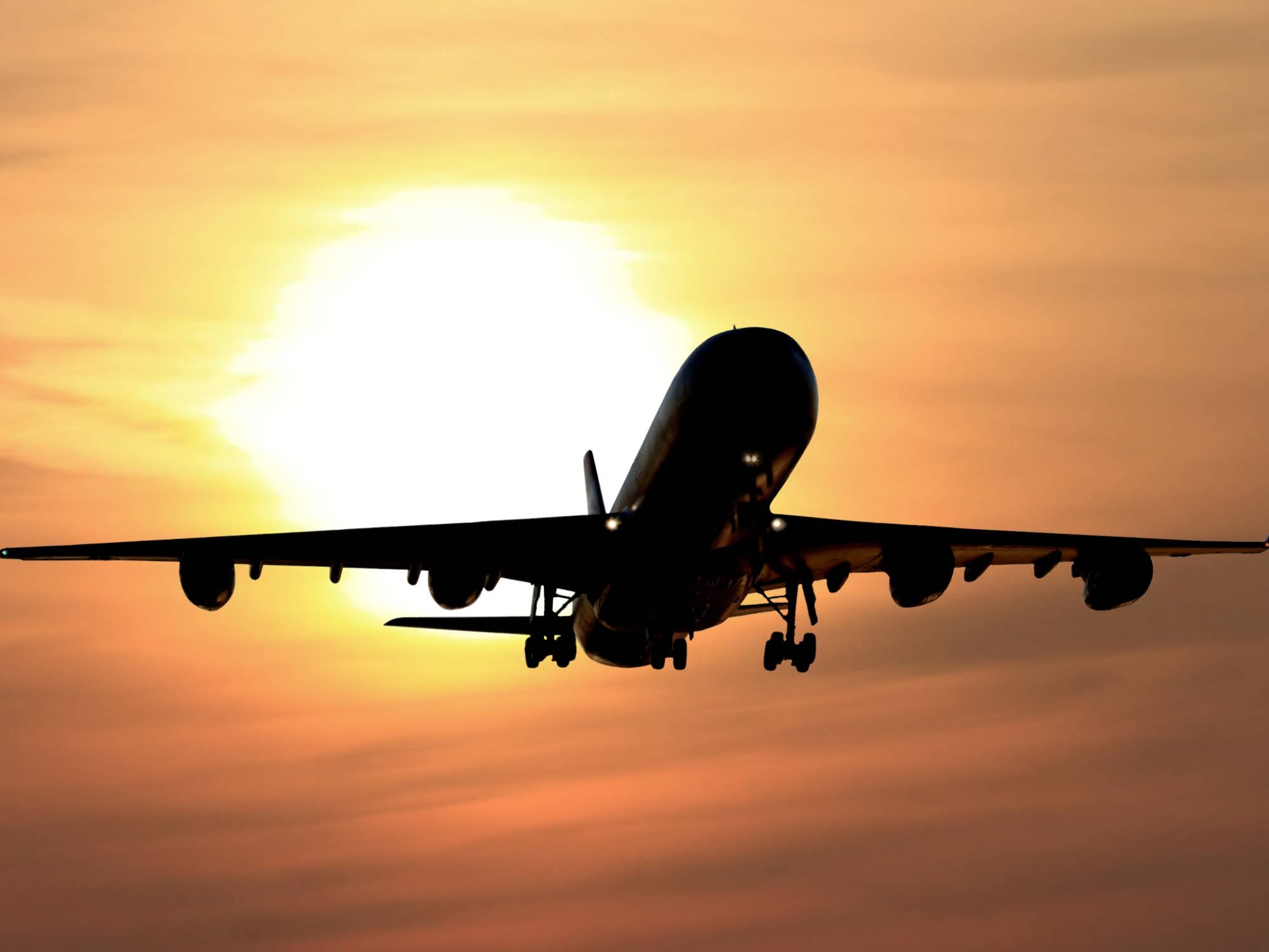 USC: Neue Airline startet in Deutschland durch