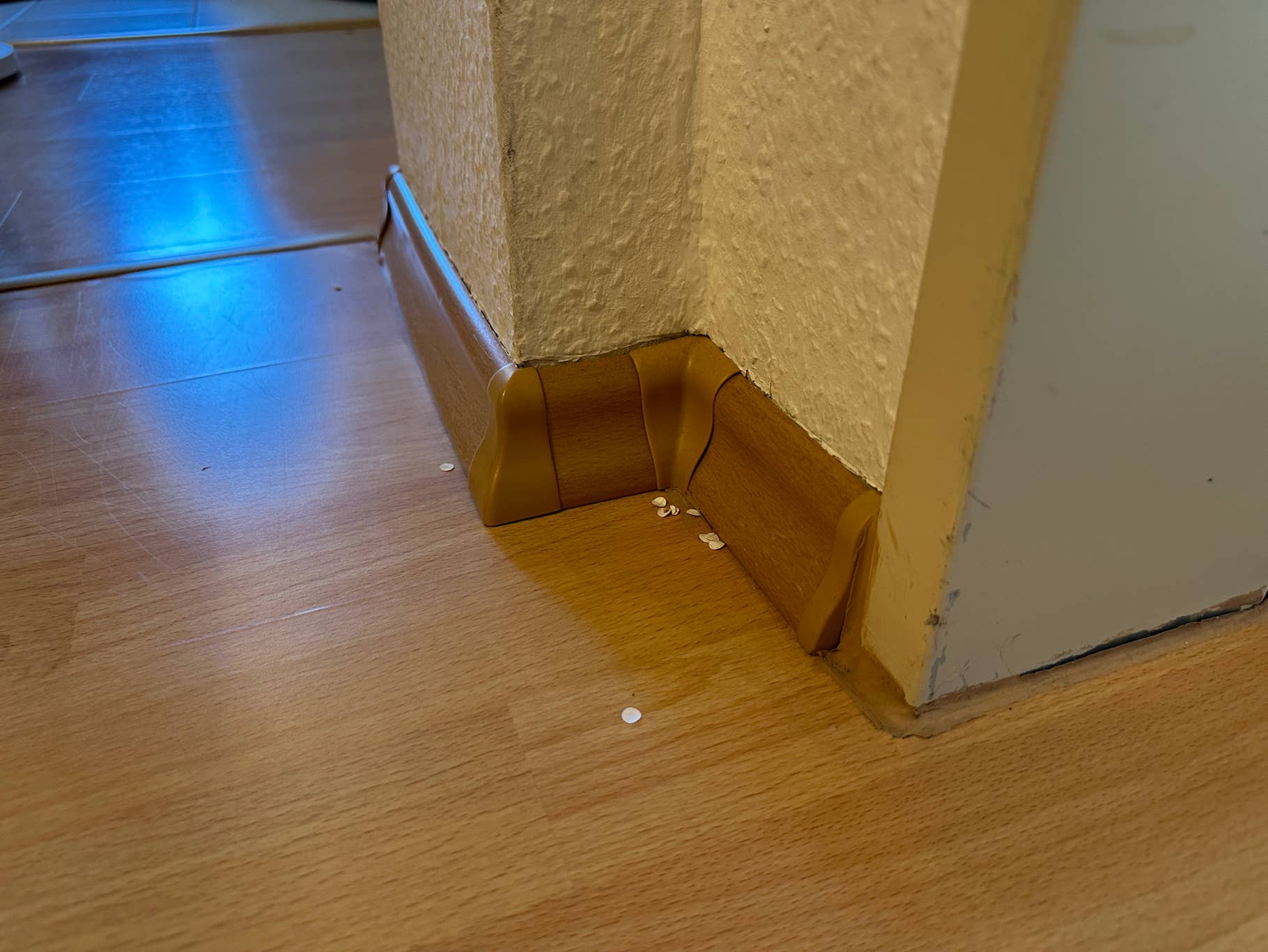 Shark AI Ultra im Test: Dieser Saugroboter kommt in jede Ecke