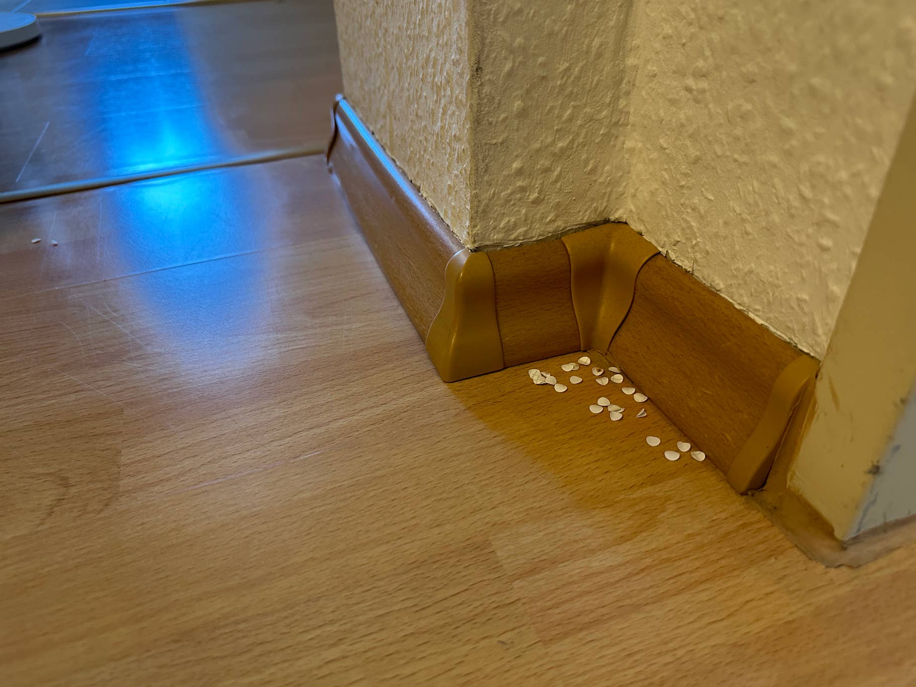 Shark AI Ultra im Test: Dieser Saugroboter kommt in jede Ecke