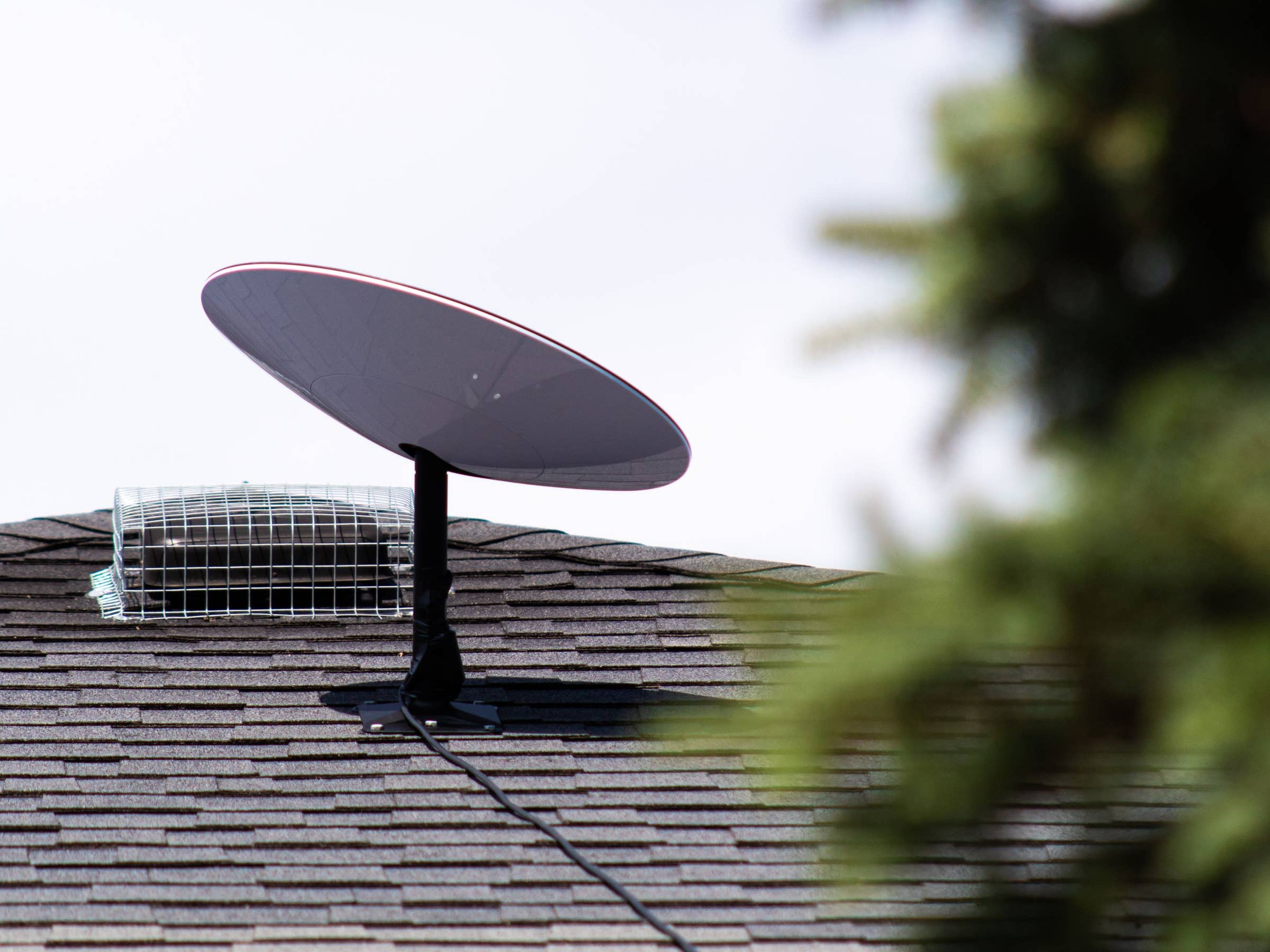 Starlink kostenlos: Kosten für Antenne entfallen